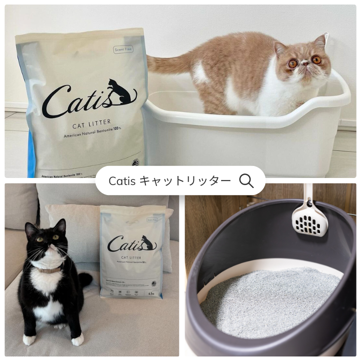 キャットリッター | Catis Store