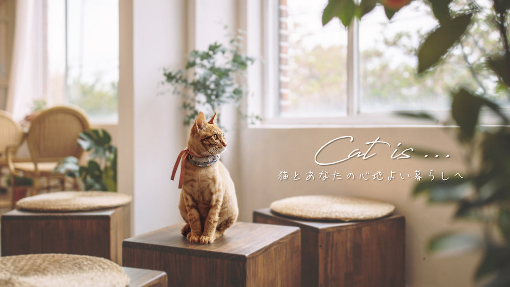【公式】Catis Store｜猫ちゃんへ安心・安全な商品をお届けする通販サイト