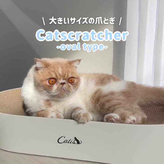 【公式】Catis Store｜猫ちゃんへ安心・安全な商品をお届けする通販サイト