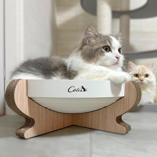 キャットスクラッチャー ラウンドタイプ – Catis Store