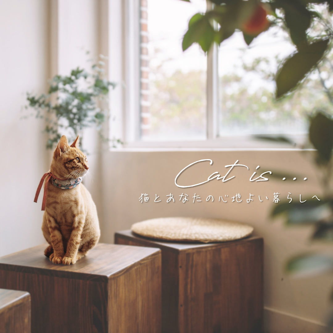 【公式】Catis Store｜猫ちゃんへ安心・安全な商品をお届けする通販サイト