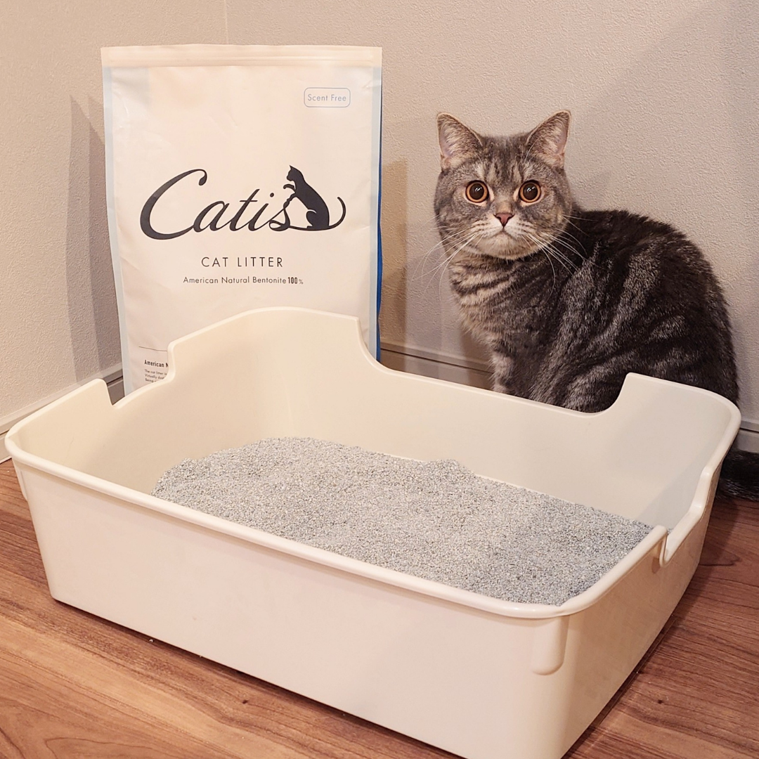 【公式】Catis Store｜猫ちゃんへ安心・安全な商品をお届けする通販サイト